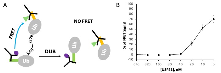 RELAY TR K48 Linkage-specific Deubiquitinase Assay Kit - Kits - Products